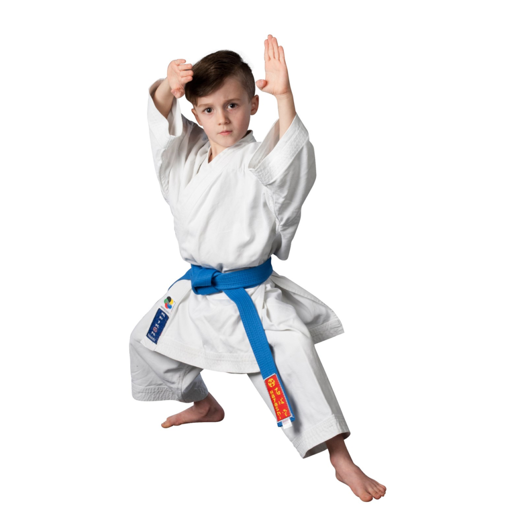 karate kids ninja | Arlington Community Education